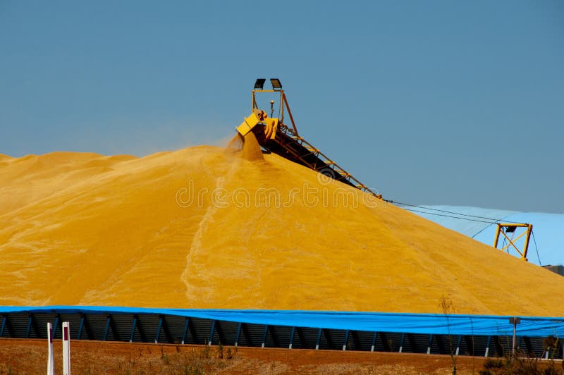 Grain Storage stock photo. Image of load, processing - 241688944