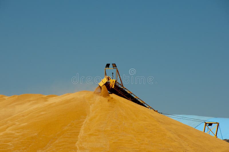 Grain Storage stock photo. Image of handlers, australia - 241688978