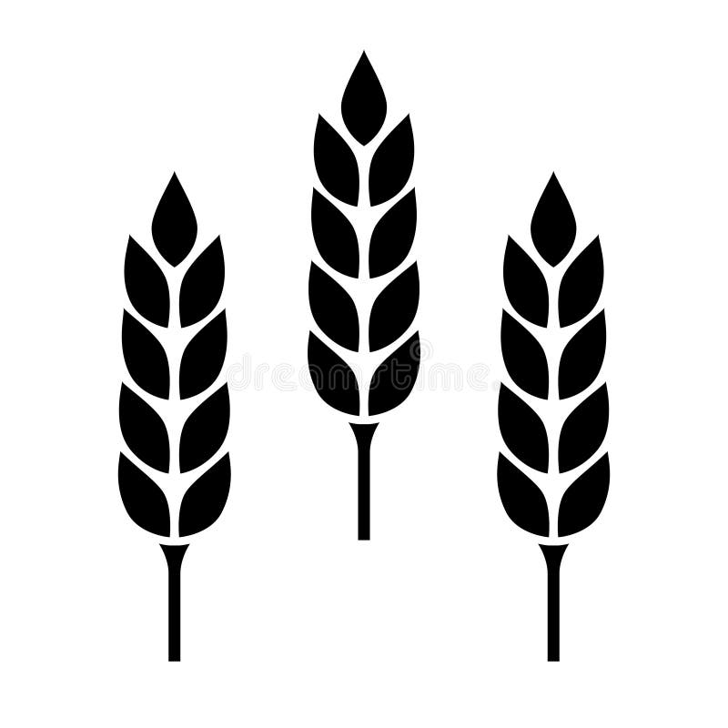 Grain Symbol Wheat Vector Icon Stock Vector - Illustration of bran ...