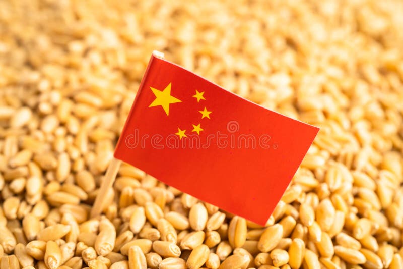 Grain Wheat with China Flag, Trade Export and Economy Stock Photo ...