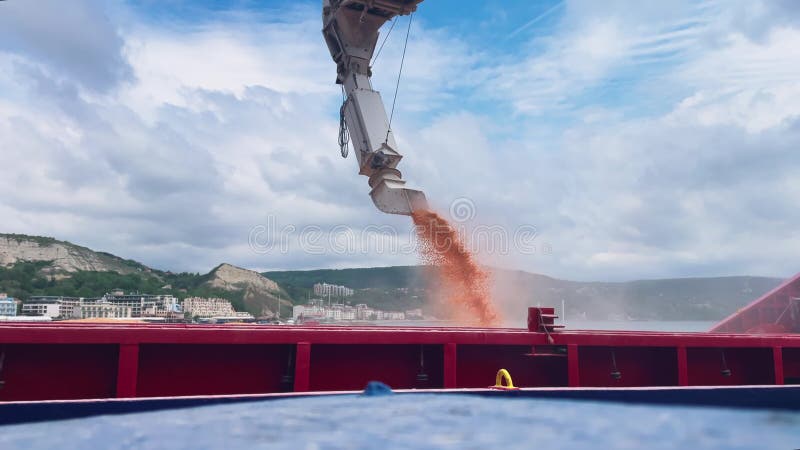 Wheat Loading To Bulker Ship Cargo Container at Sea Grain Terminal in ...