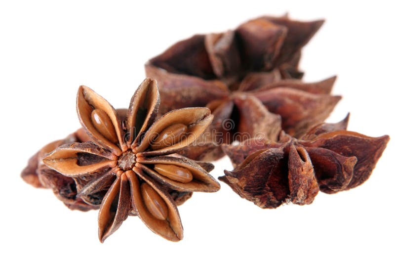 Graine d'Anis image stock. Image du brun, graine, complètement - 3307969