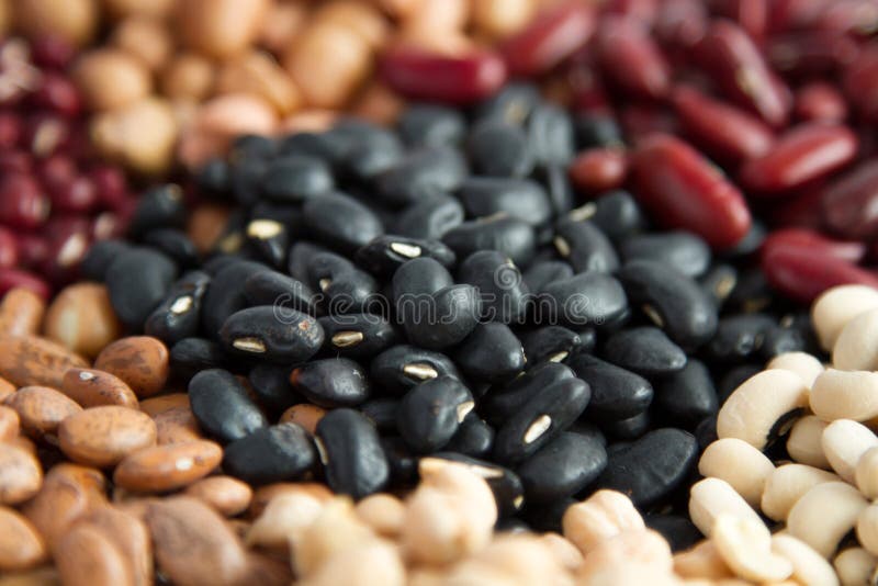 Graine de haricot noir image stock. Image du graine, collecte - 46860193