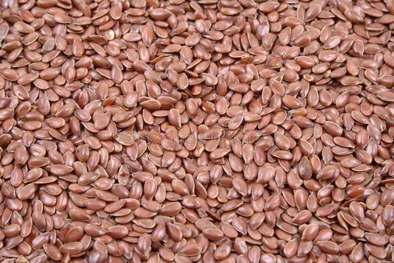 Graine de lin photo stock. Image du texture, christ, haricots - 2437378