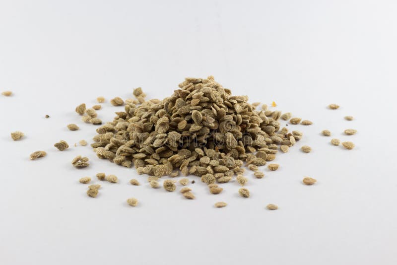 Graine de tomate image stock. Image du groupe, brun, nutrition - 83501293