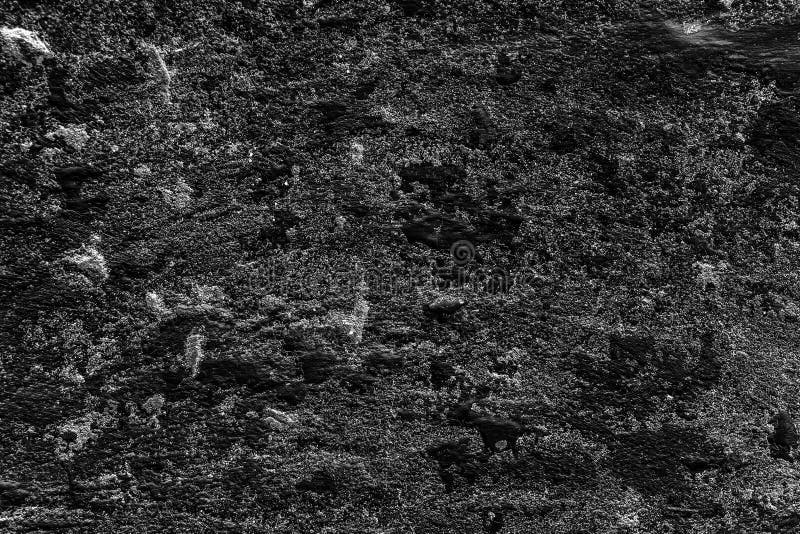 517 Bnw Texture Stock Photos - Free & Royalty-Free Stock Photos from ...