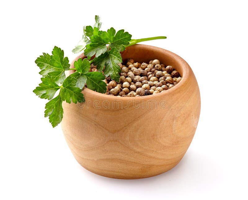 La Feuille De La Coriandre Sur Le Fond Blanc Image stock - Image du ...