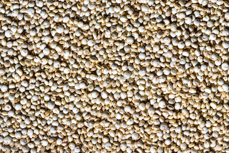 Graines De Quinoa Blanc Non Cuites Image stock - Image du graine ...