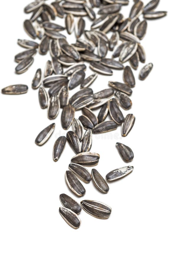 Graines de tournesol photo stock. Image du nourriture - 64160064