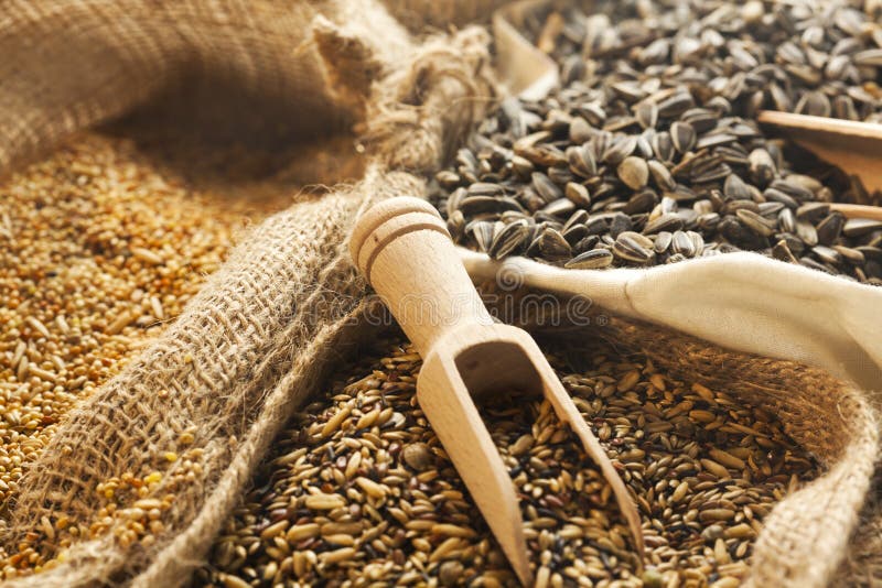 Graines Et Textures Dans Des Sacs De Toile De Jute Image stock - Image ...