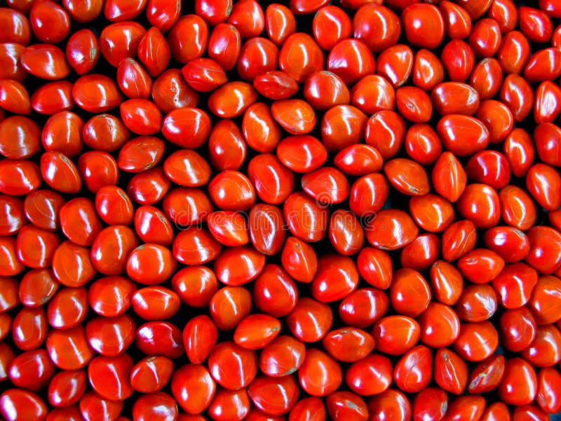 Graines rouges image stock. Image du conception, rouge, amour - 88123