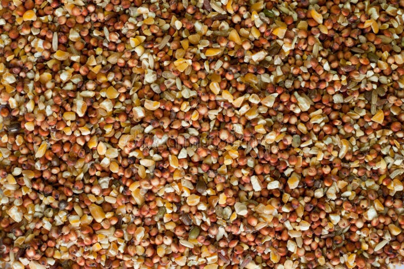 Small Grain Seeds