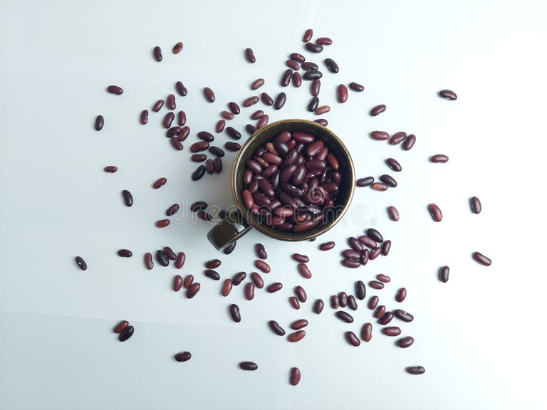 160 Kidney Font Stock Photos - Free & Royalty-Free Stock Photos from ...