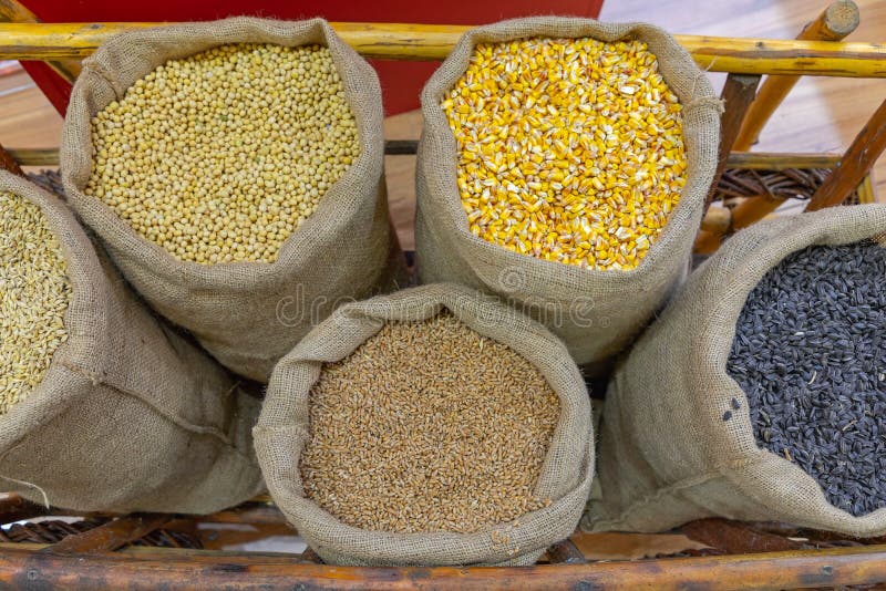 172 Grains Bulk Bags Stock Photos - Free & Royalty-Free Stock Photos ...