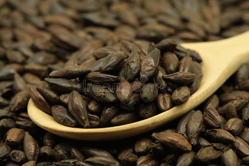 Grains of Burnt Barley in a Wooden Spoon Background Stock Image - Image ...