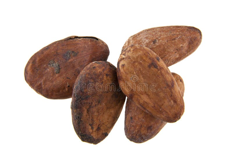 Grains of Cocoa Isolated on White Background Stock Photo - Image of ...