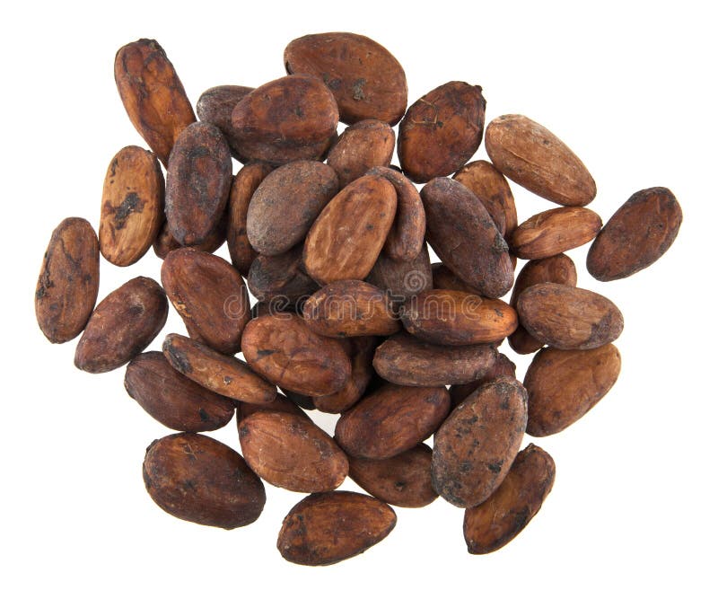 Grains of Cocoa Isolated on White Background Stock Photo - Image of ...