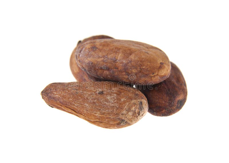 Grains of Cocoa Isolated on White Background Stock Photo - Image of ...