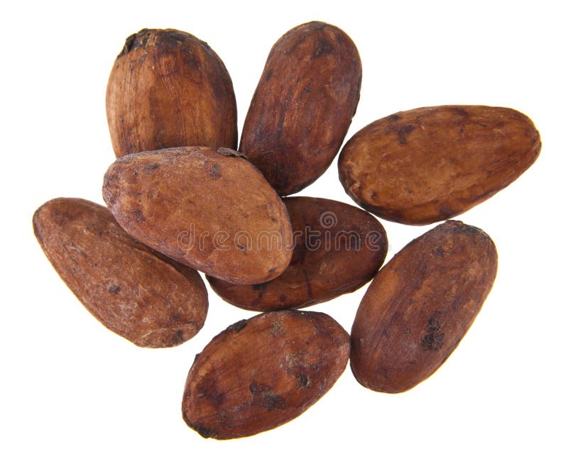Grains of Cocoa Isolated on White Background Stock Photo - Image of ...