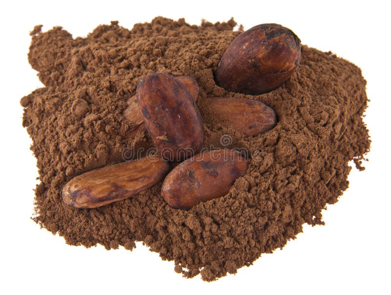 Grains of Cocoa Isolated on White Background Stock Photo - Image of ...