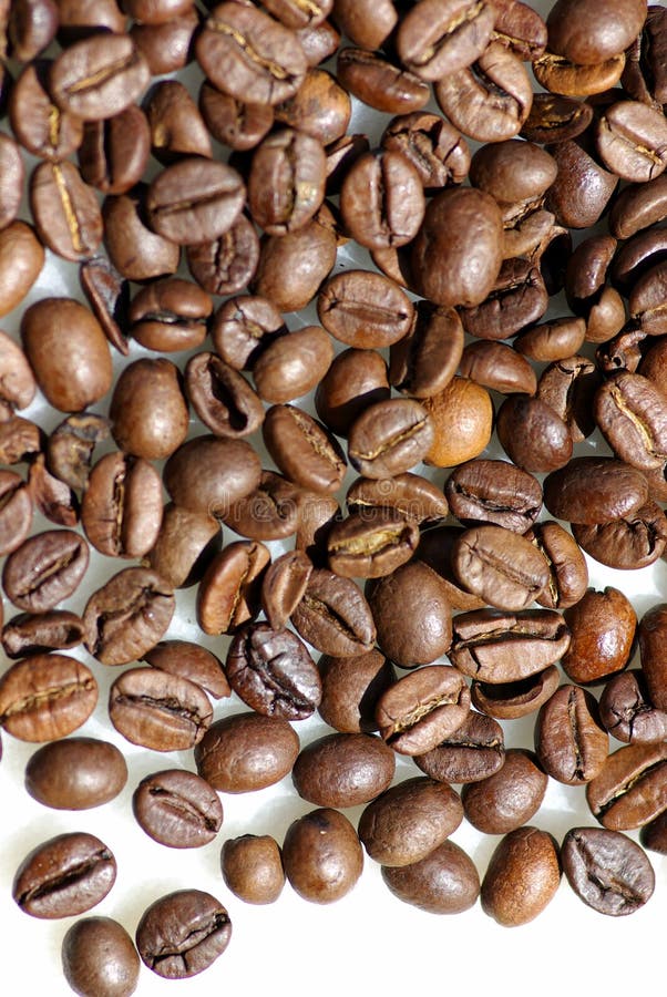 Grains Of Coffee. Picture Image: 2550843