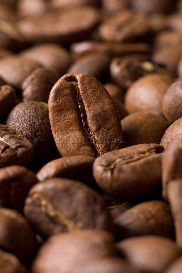 Grains of coffee stock image. Image of cafe, coffe, restaurant - 3755267