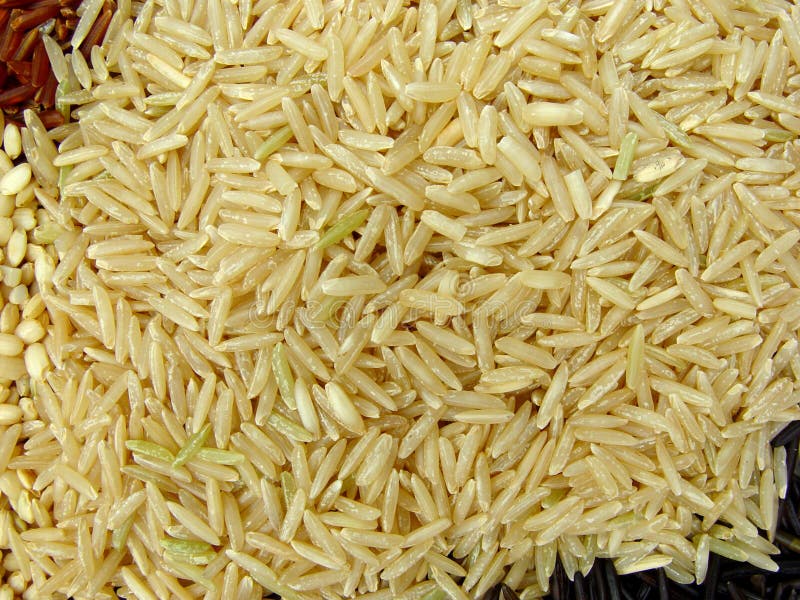 Riz basmati cru photo stock. Image du nourriture, textures - 57299374