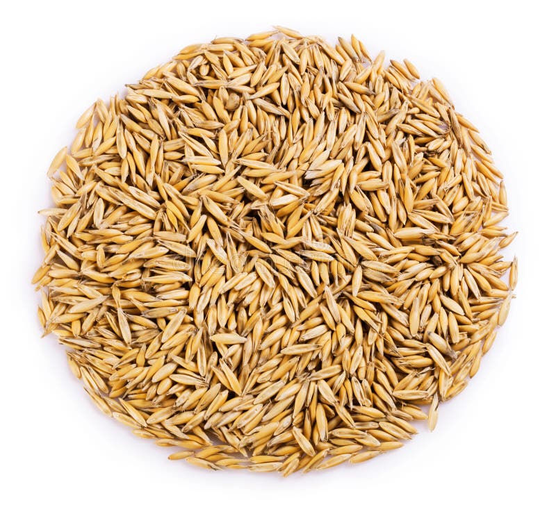 Grains d'avoine image stock. Image du manger, santé, shallow - 37262951