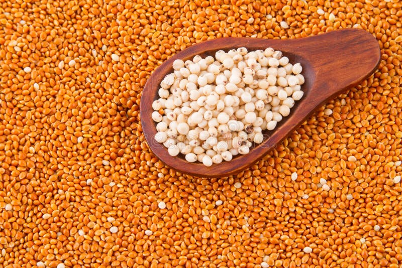 1,503 Photos de Sorgho Rouge - Photos de stock gratuites et libres de ...