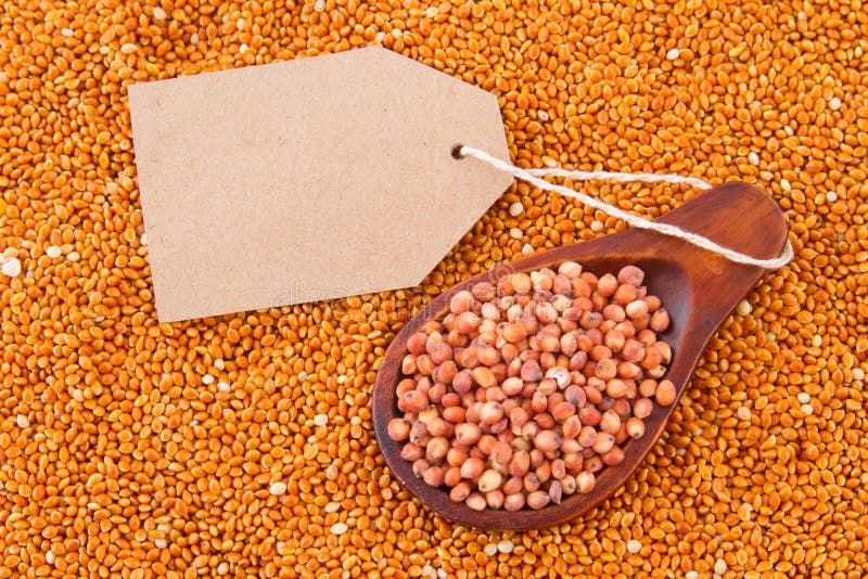 1,503 Photos de Sorgho Rouge - Photos de stock gratuites et libres de ...