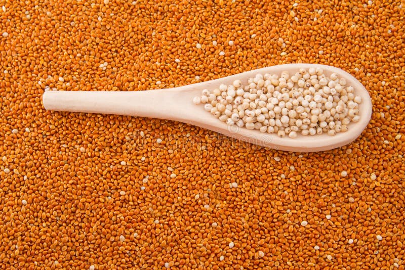 1,503 Photos de Sorgho Rouge - Photos de stock gratuites et libres de ...