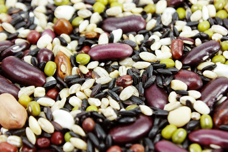 Grains stock image. Image of grains, chickpea, cube, green - 49028847