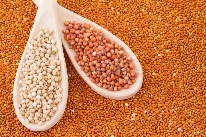 1,503 Photos de Sorgho Rouge - Photos de stock gratuites et libres de ...