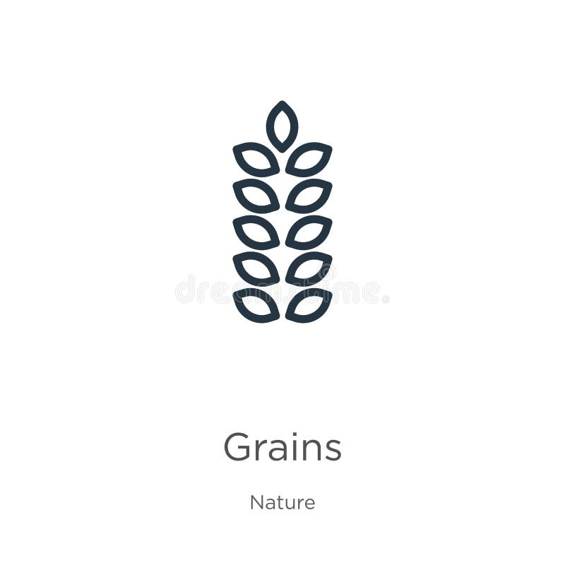 Grains Outline Icon Stock Illustrations – 995 Grains Outline Icon Stock ...