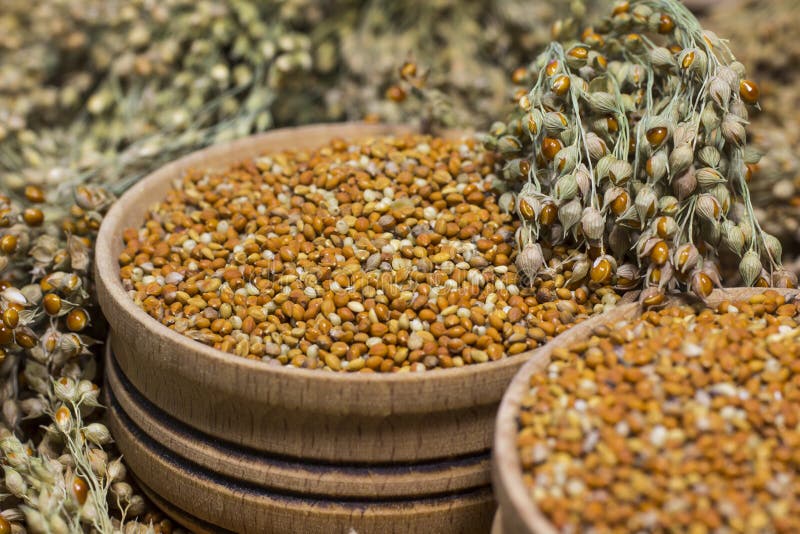 Grains of Millet in a Wooden Box. Ears of Millet, Close-up Stock Image ...