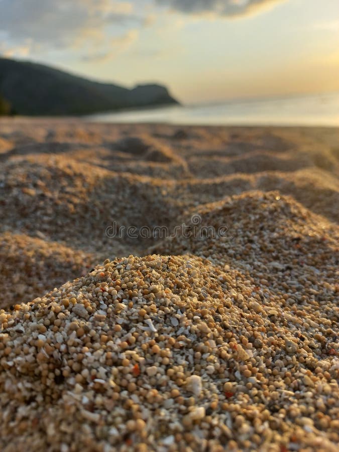 Grains of Pepper Sand on the Edge of a Tropical Beach Stock Image ...