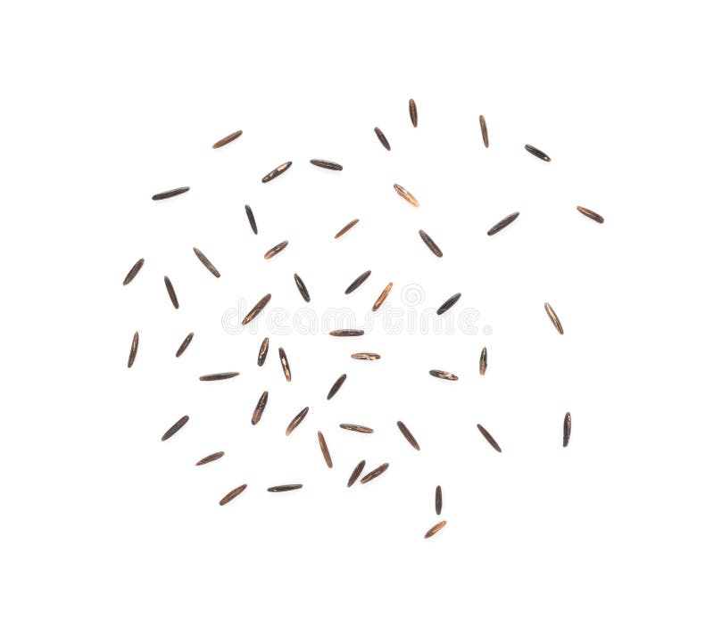 Raw Black Wild Rice Grains Isolated Stock Image - Image of organic ...