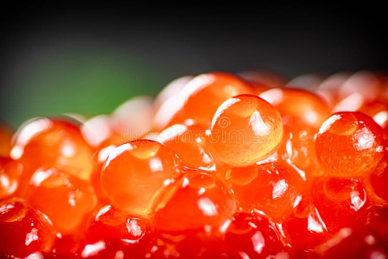 Grains of Red Caviar. Red Caviar Texture Stock Image - Image of ...
