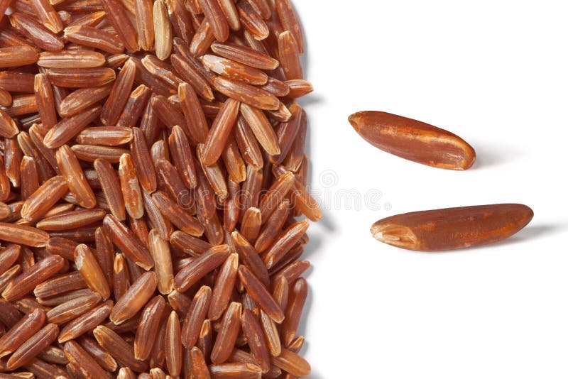 Grains of red rice stock image. Image of pattern, traditional - 105690207