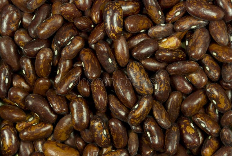 Grains of a Red String Bean Stock Photo - Image of version, background ...