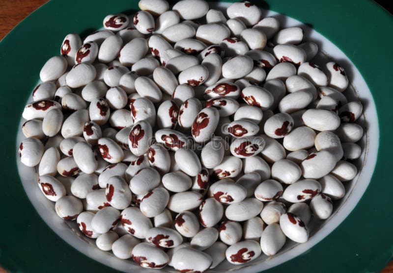 Grains of Red and White Dry Beans Stock Photo - Image of agriculture ...