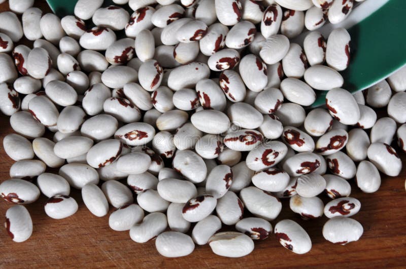 Grains of Red and White Dry Beans Stock Image - Image of organic ...