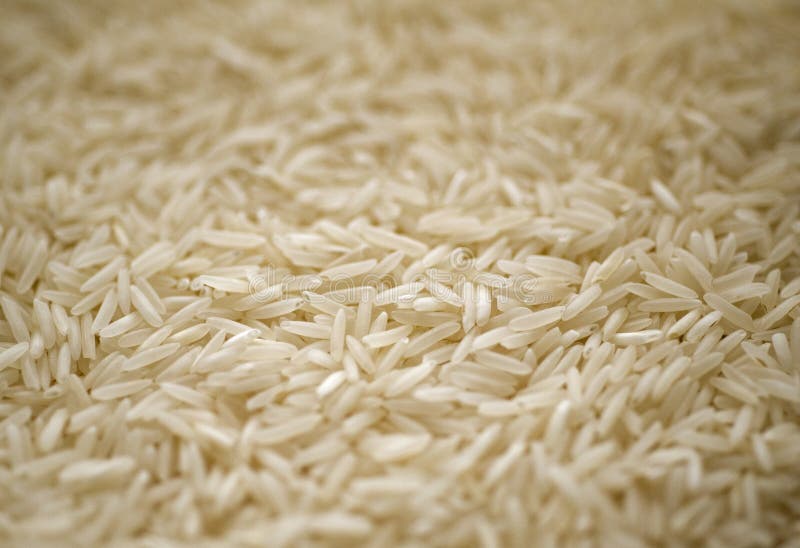 Grains of rice stock photo. Image of starchy, wallpaper - 12399662