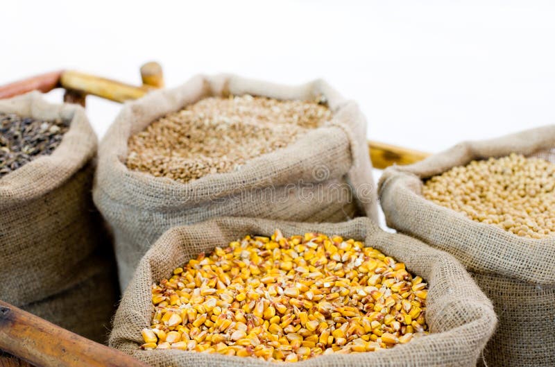 Grains in sacks stock photo. Image of market, grains - 72659514
