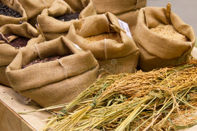 Stack hemp sacks of rice stock photo. Image of natural - 38968058