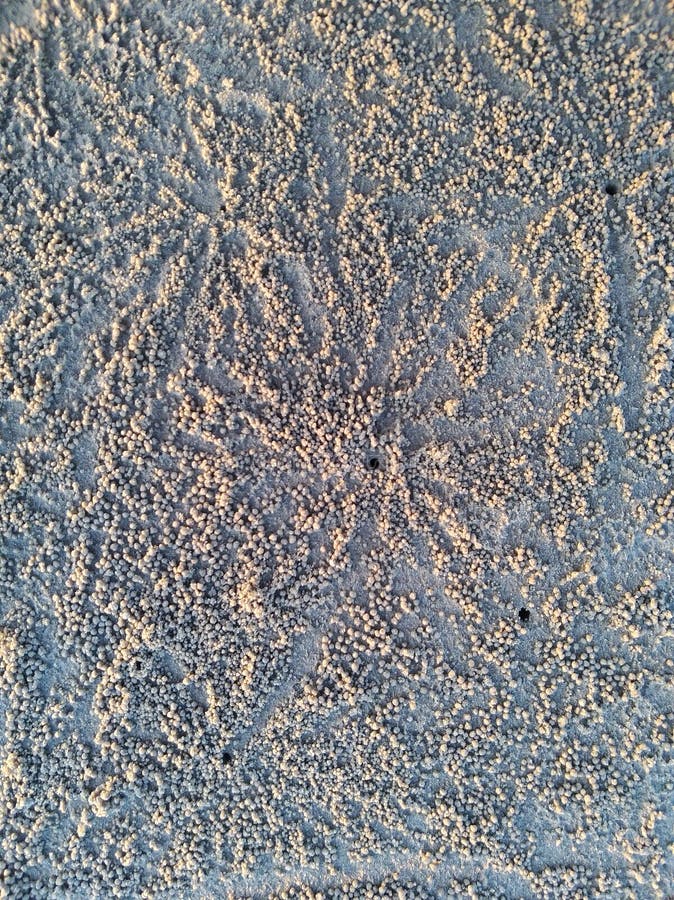 Grains of Sand on the Beach Stock Photo - Image of sand, pattern: 219746472