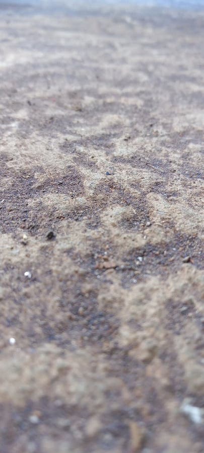 Grains of Sand Focus Wallpapers Tenderness Stock Photo - Image of sand ...