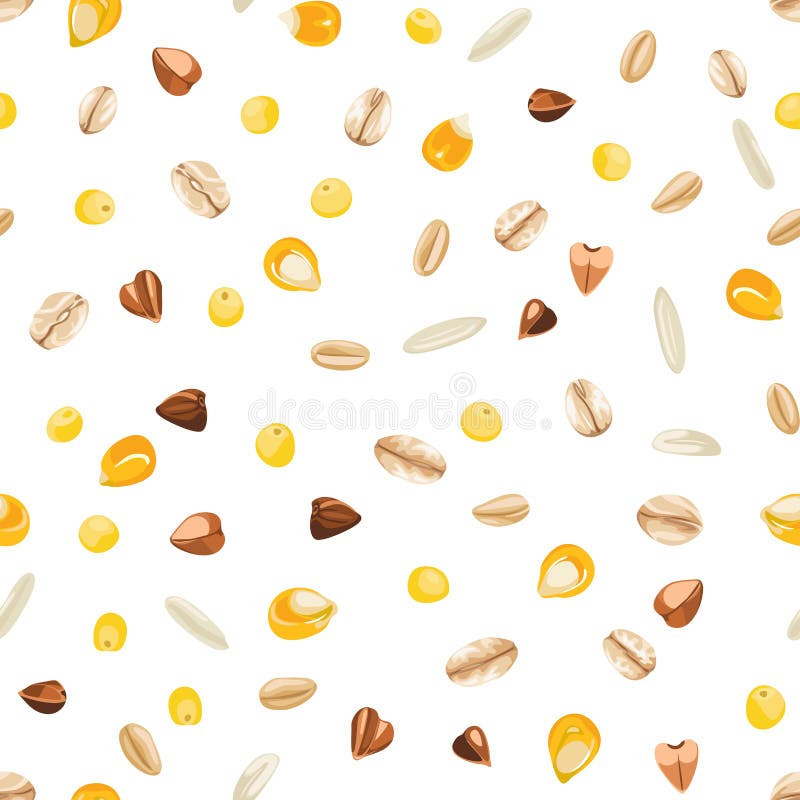 Grains Seamless Pattern. Corn, Oat, Millet, Buckwheat, Rice and Wheat ...
