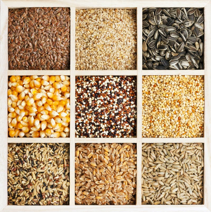 Seeds and grains variety stock photo. Image of grains - 21146198