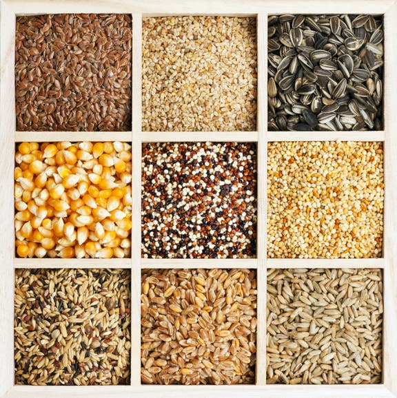 Grains and Seeds Assortment Stock Photo - Image of organic, seeds ...